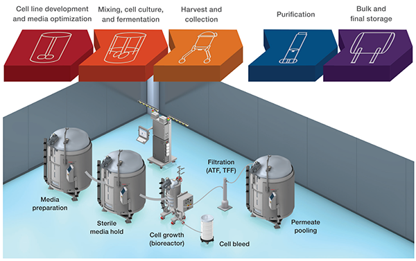 single-use-perfusion